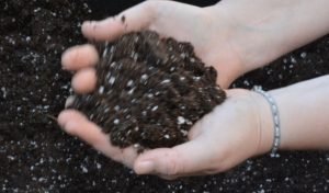 Classes | Explore Educational And Social Gardening Courses