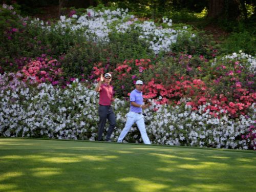 Azaleas | A Growth & Care Guide For Lush Blooms